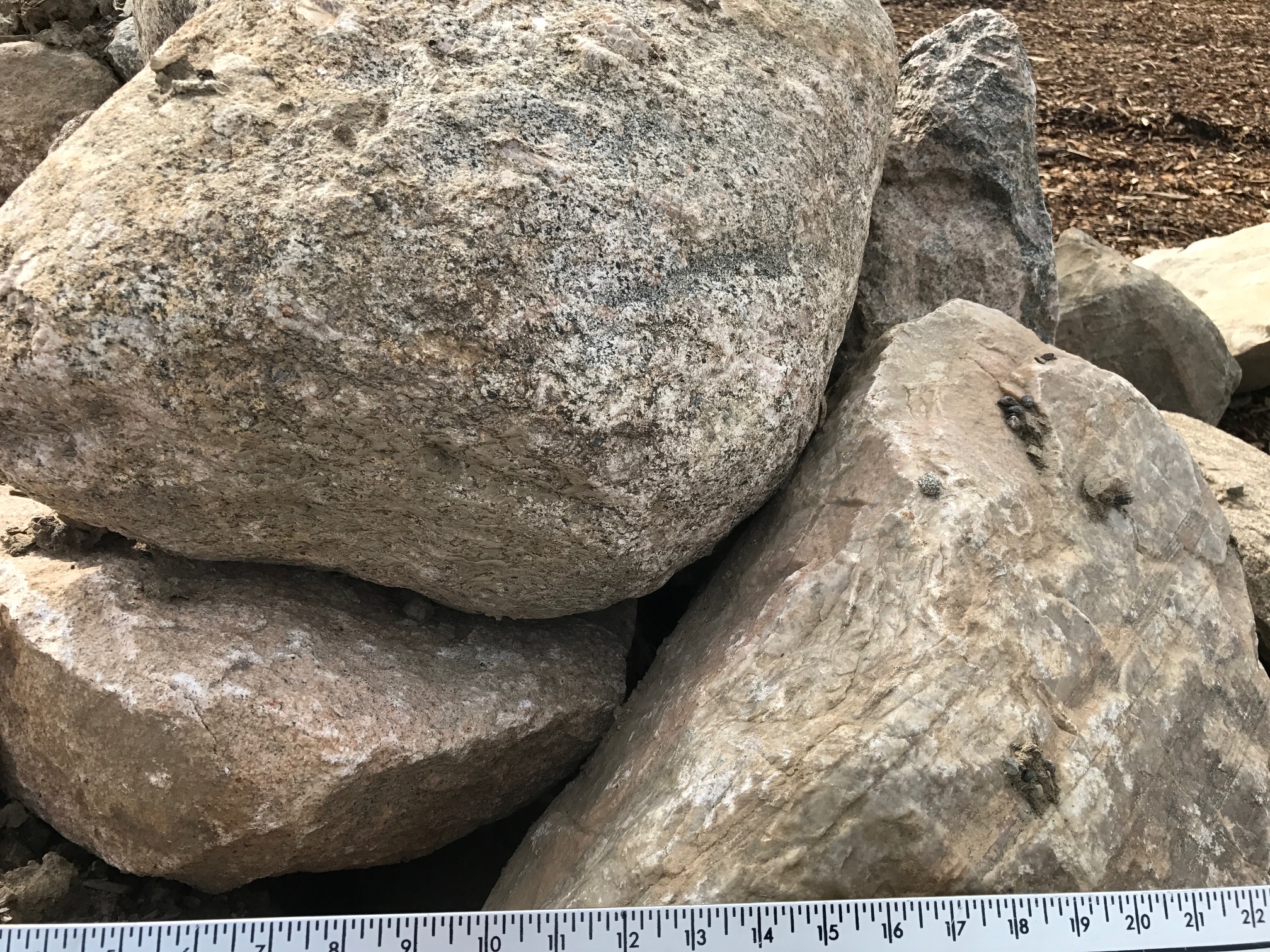 Native Fieldstone 18" - 36" - Greenline Inc.